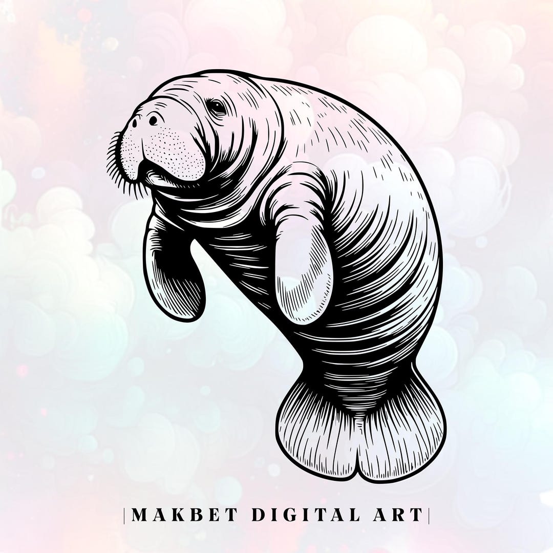 Manatee Svg Png Pdf Jpg,diy Crafts,manatee Clipart,manatee Vector Image ...