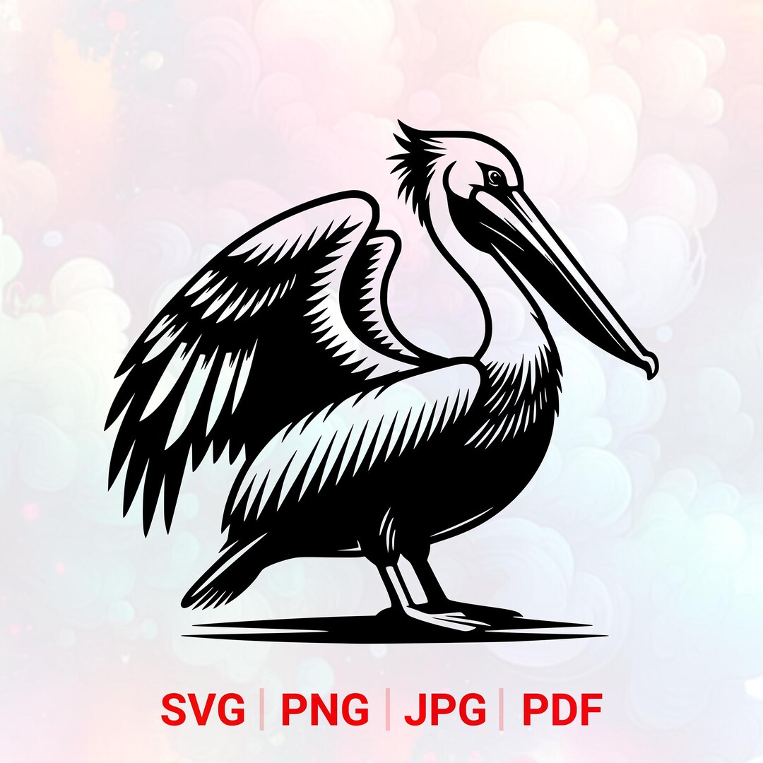 Pelican SVG: PNG, Bird Clipart, Vector Design, Laser Cut File (digital ...
