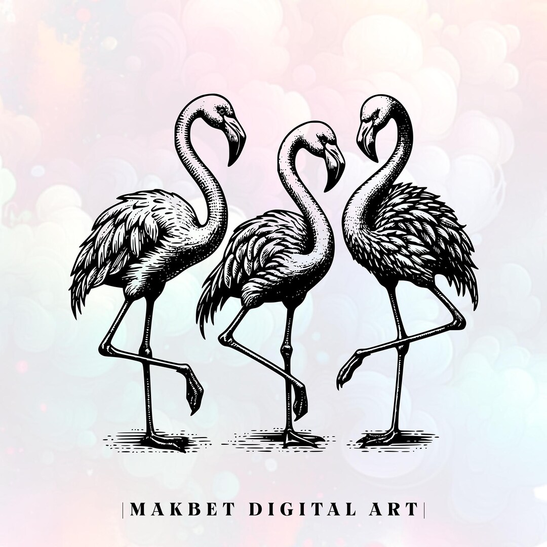 Three Flamingos Svg Pdf Png Jpg Files,flamingo Clipart,flamingo Bird ...