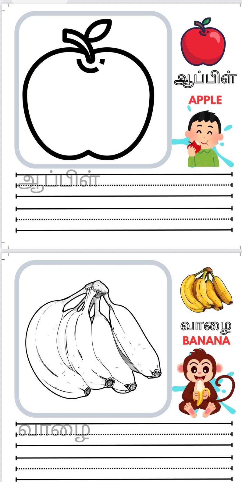 Tamil Fruits Worksheet | Learn Fruits in Tamil | Printable PDF for Kids ...