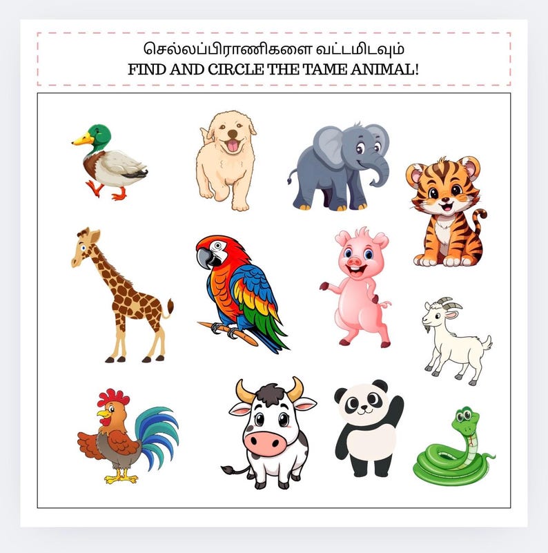 Tamil-english Animal Worksheets | Tame & Wild Animals | Preschool ...