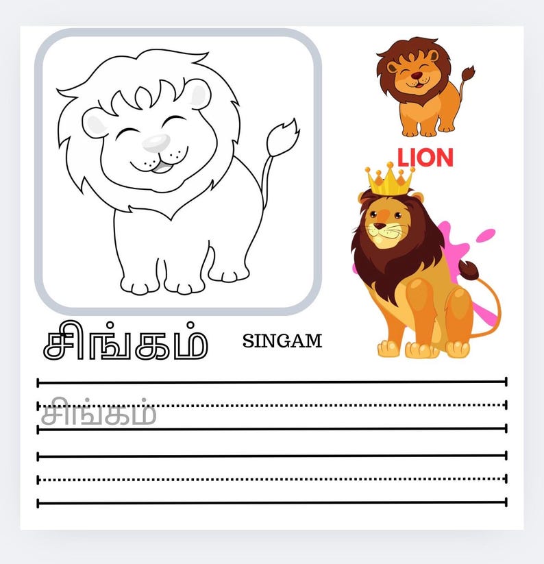 Tamil Wild Animal Worksheets for Kids | Trace, Colour & Match ...