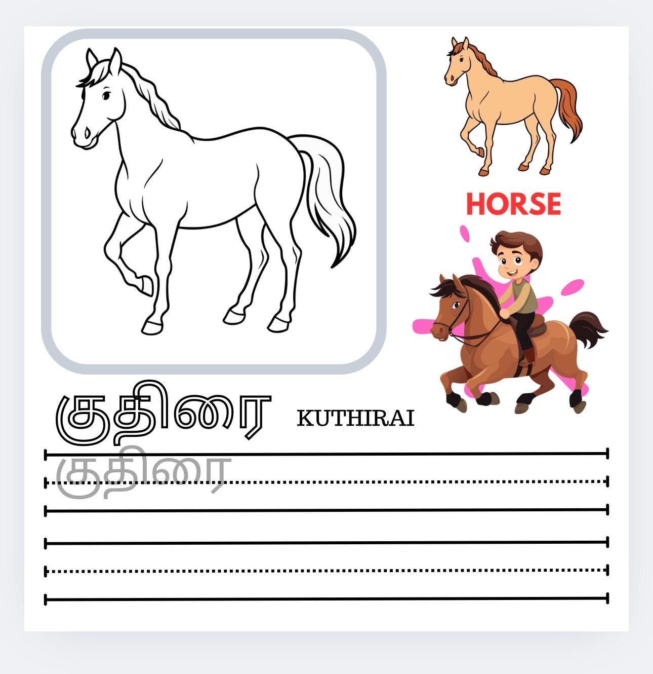 Tamil-english Animal Worksheets | Tame & Wild Animals | Preschool ...
