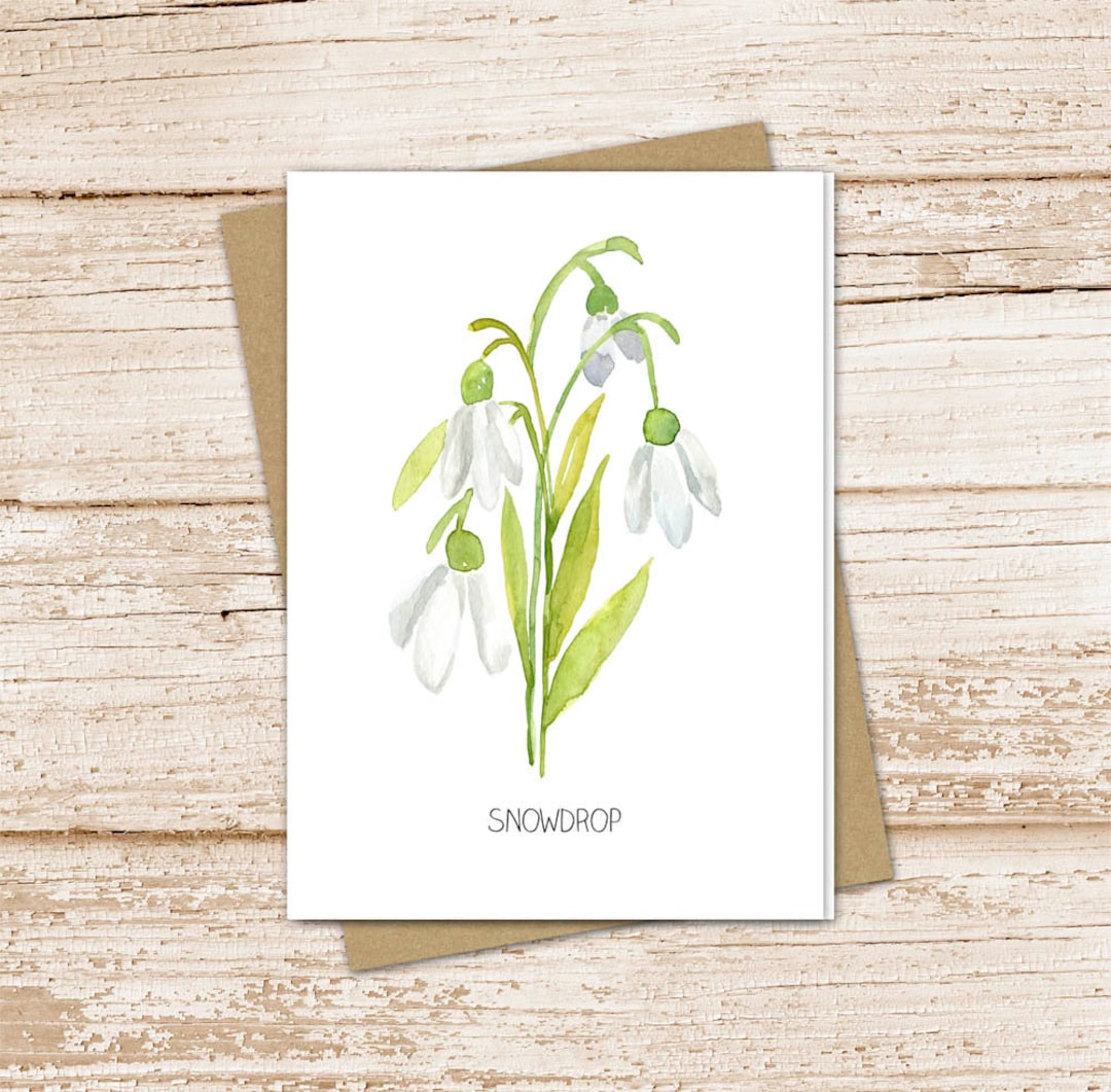 Snowdrop Card Set . Watercolor Flowers . January Birth Month Floral ...