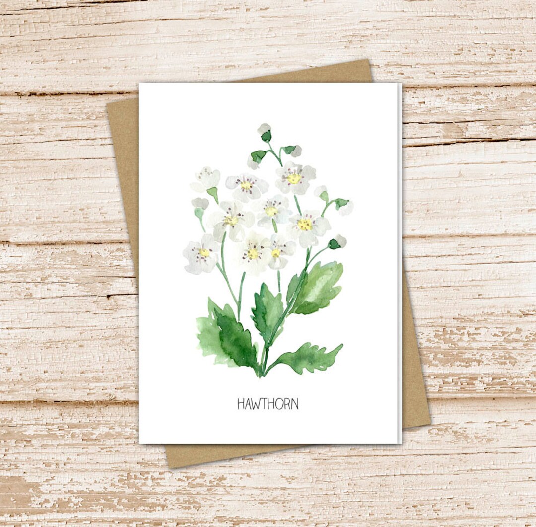 Hawthorn Card Set . Watercolor Flowers . May Birth Month . Floral Note ...