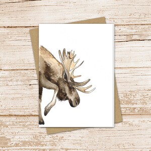 Moose Card Set . Watercolor Moose Note Cards . Elk Animal Wildlife ...
