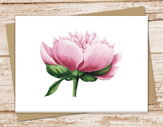 peony flower card set . watercolor pink peony . botanical floral note ...