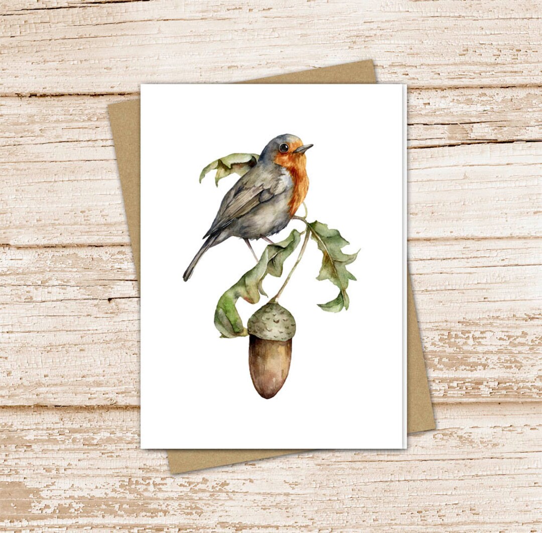 Robin and Acorn Card Set: Watercolor Autumn Note Cards - Etsy