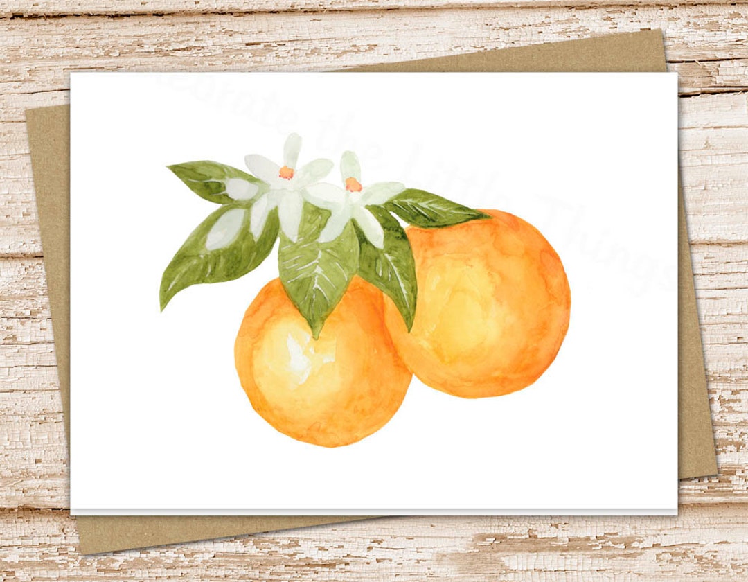 Oranges & Flowers Card Set . Watercolor Orange Cards . Citrus Fruit ...