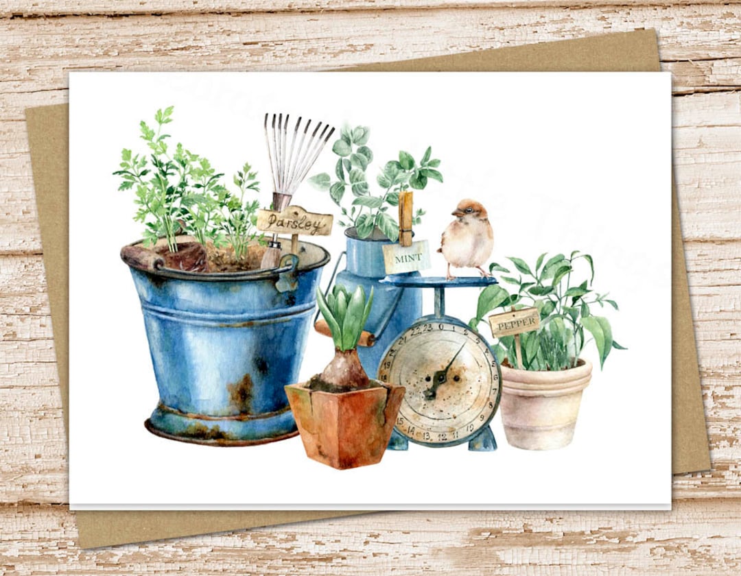 Herb Garden Card Set . Watercolor Stationery Set . Gardening . Greeting ...