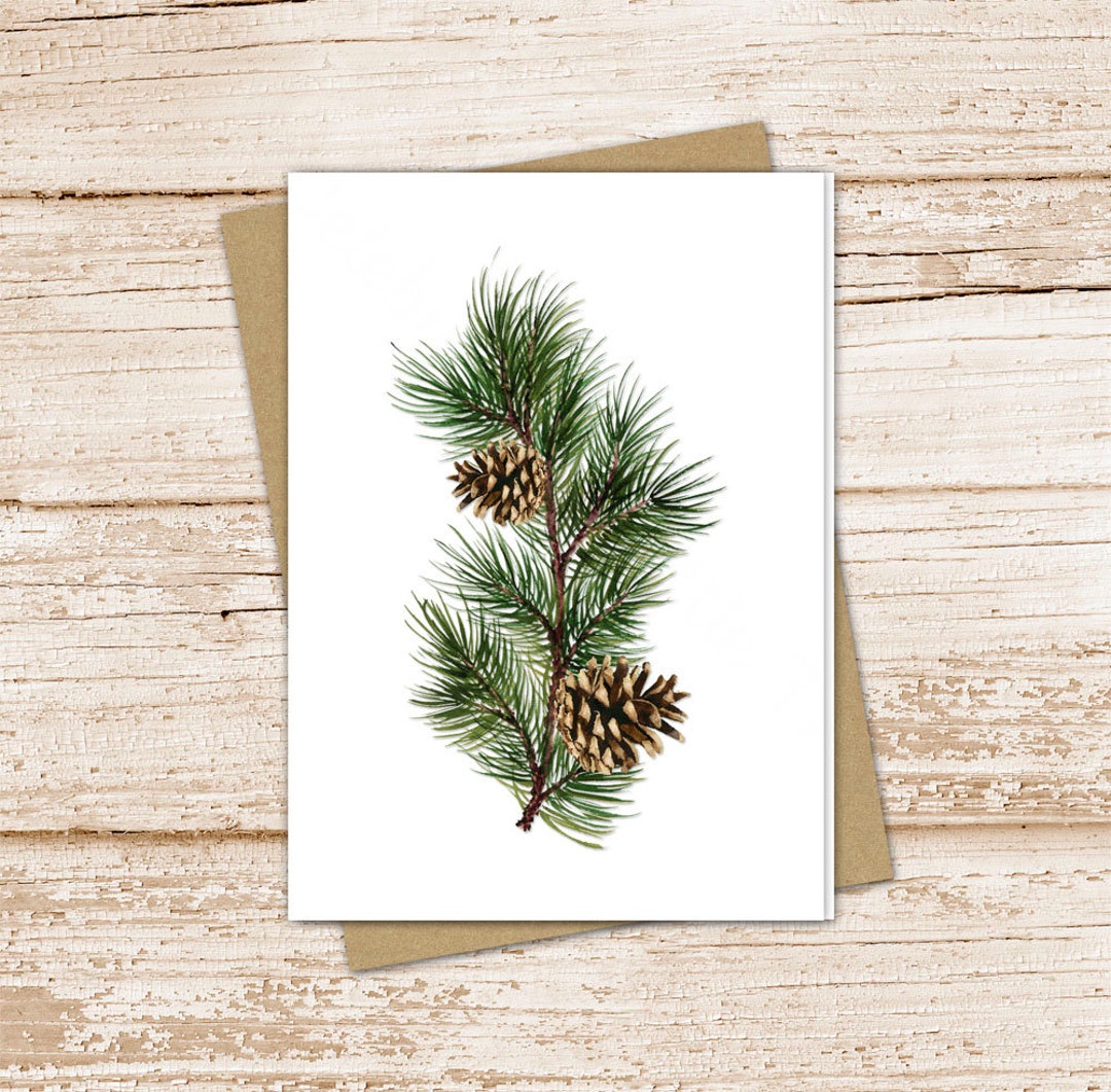 Pine Branch Card Set . Watercolor Pine Cones Note Cards . Evergreen ...