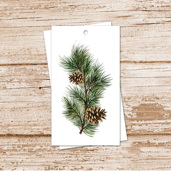 pine branch gift tags, pinecones, watercolor evergreen tree, woodland ...