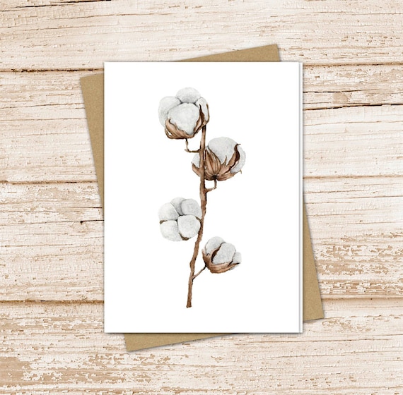 cotton branch card set . watercolor cotton note cards . country ...