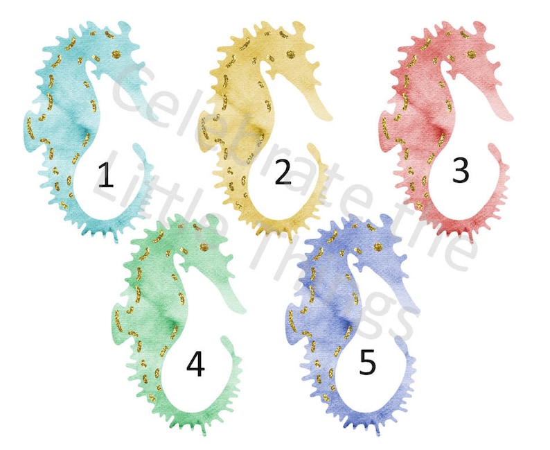 Seahorse Card Set . Seahorse Note Cards . Watercolor, Tropical Summer ...