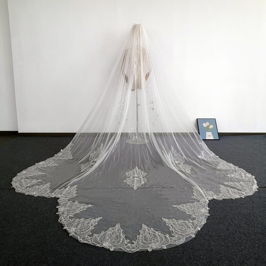 Fishtail Trailing Wedding Veil,silver Lace Bridal Veil,gorgeous Wedding ...