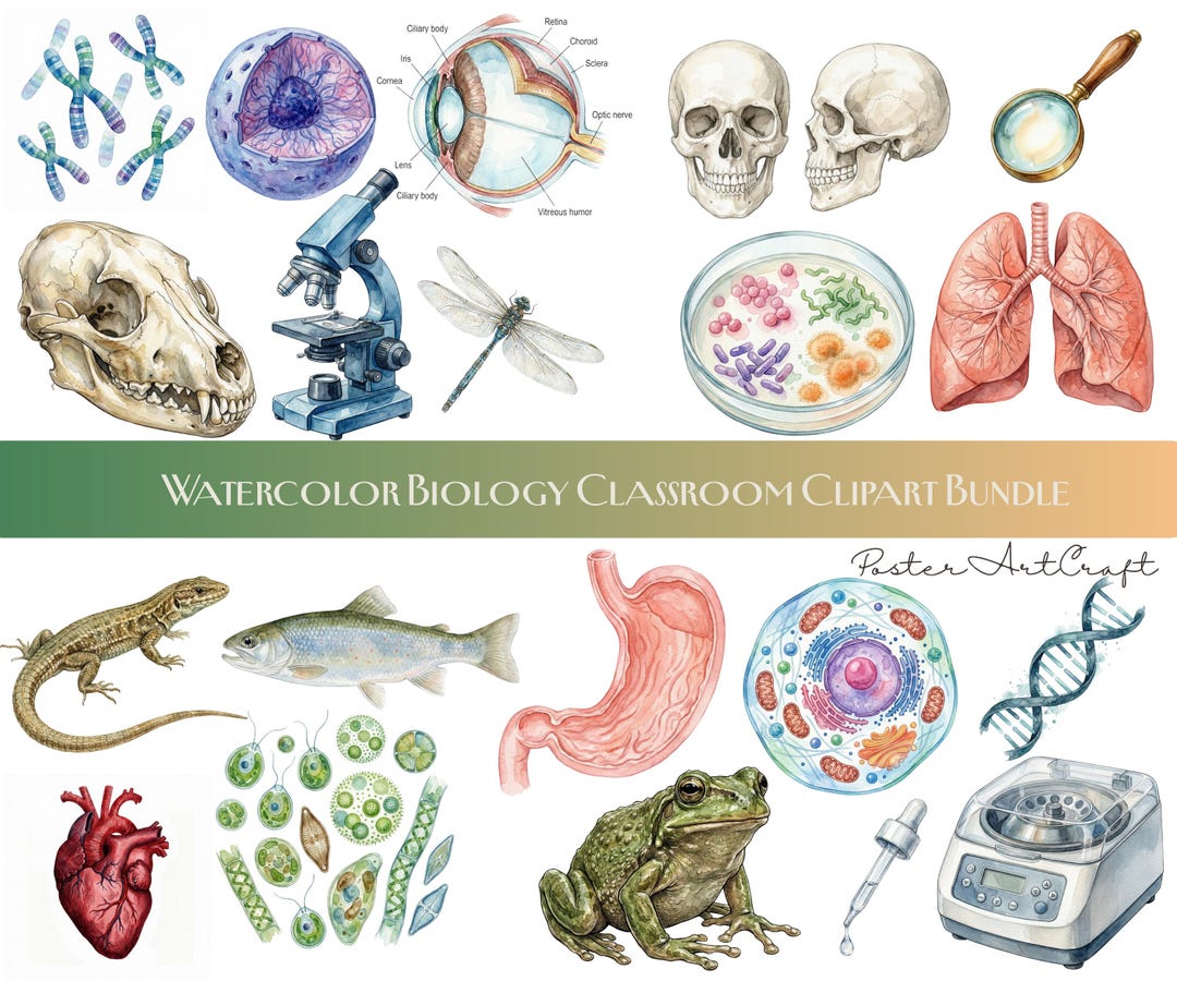 Watercolor Biology Classroom Clipart Bundle – 90+ Science and Botanical ...