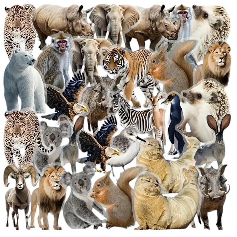 50 Animal Stickers, Assorted Self Adhesive Waterproof Stickers ...