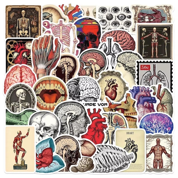 Parts of the Body - Etsy