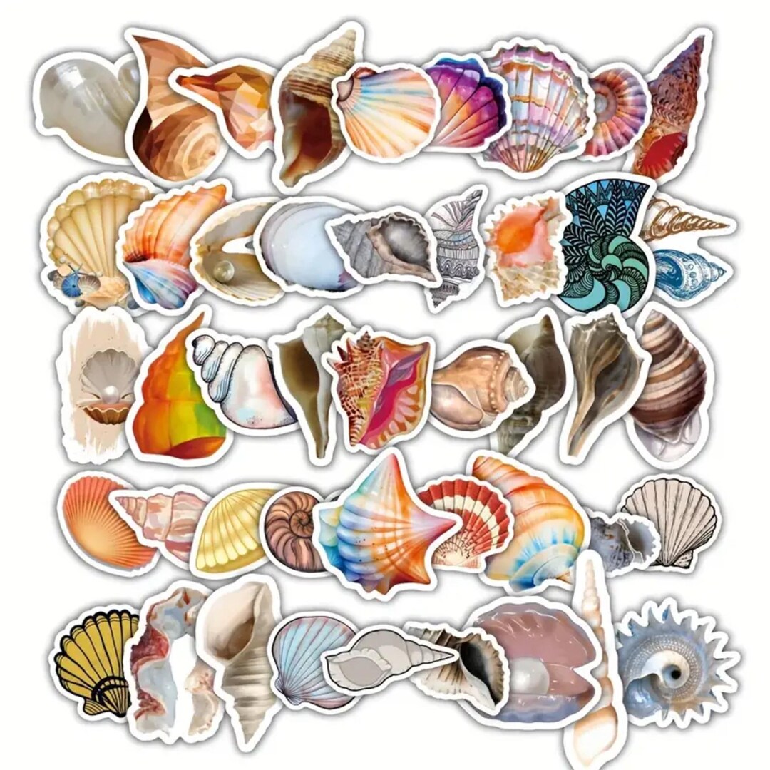 60 Shell Stickers, Assorted Self Adhesive Waterproof Sticker Sheets ...