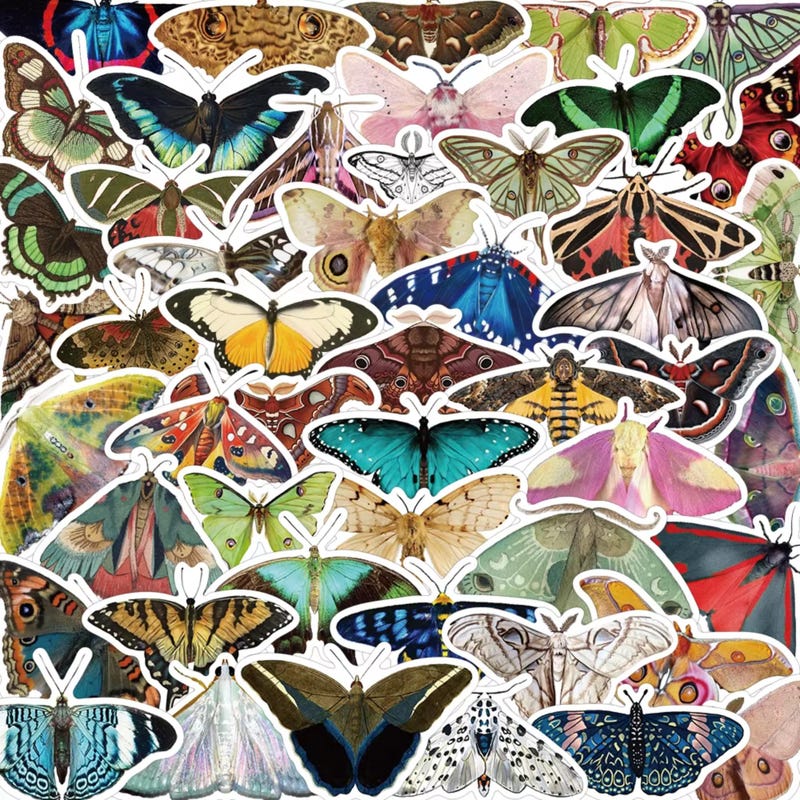 Moth Stickers Vinyl - Etsy UK