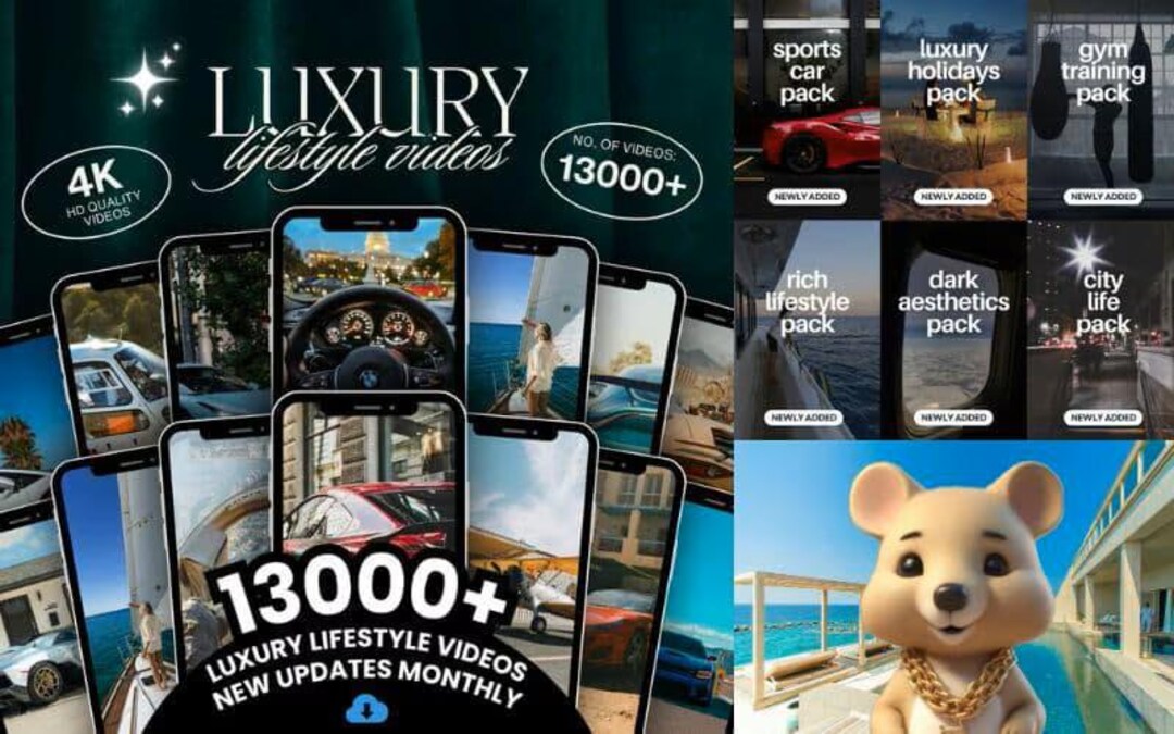 13,000+ Viral Luxury Rich Lifestyle Reels Bundle MRR/PLR, Faceless ...