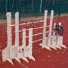 Lemon Horse Jump Fillers - Etsy