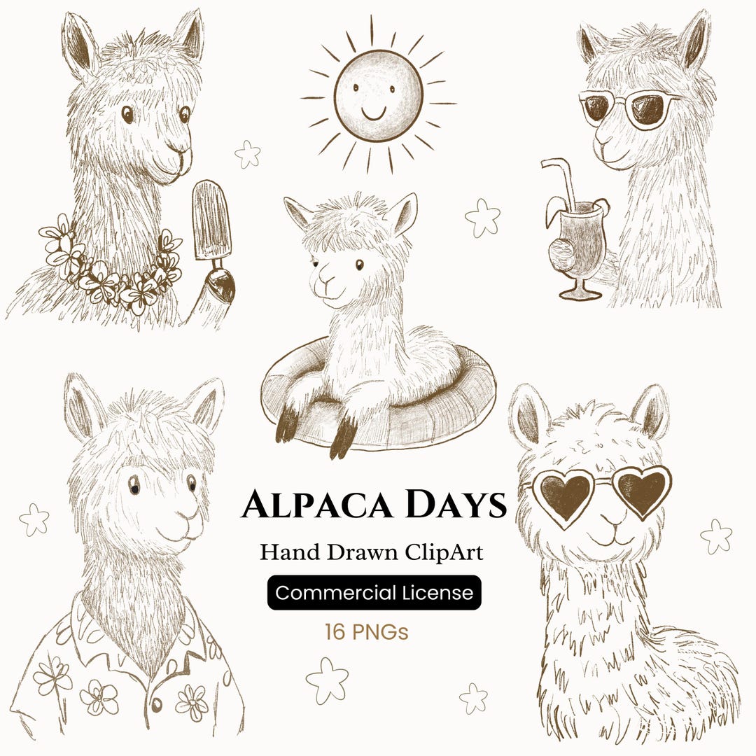 Hand Drawn Alpaca Clipart, Cute Summer Llama Pngs, Vintage Sketch Style ...