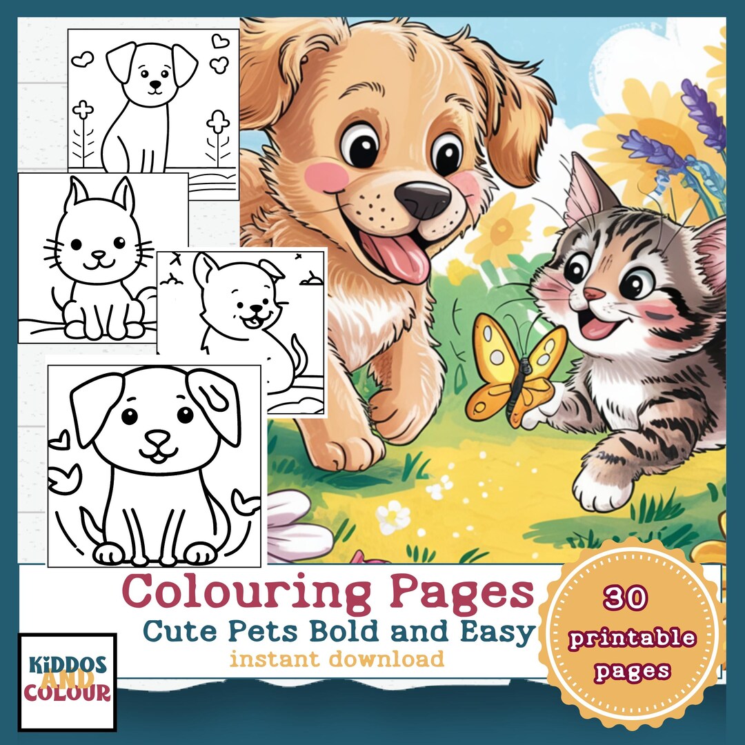 Preschool Colouring Pages: My First Colouring Book With Bold Lines ...