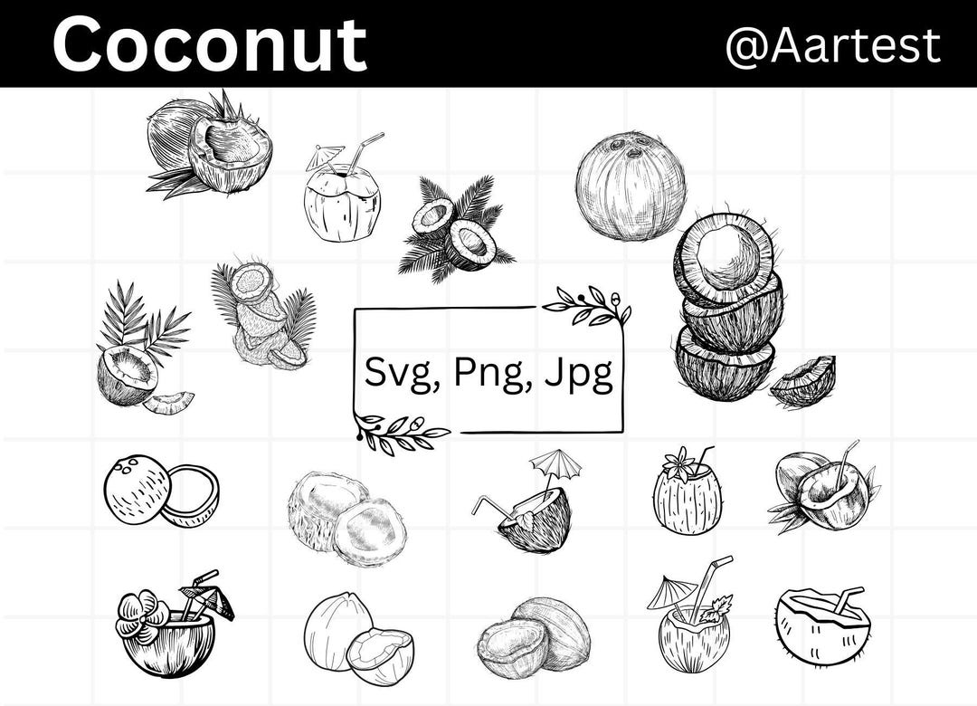 Coconut Svg, Coconuts Svg, Coco Nut Svg, Nut, Nuts Svg, Coconut ...