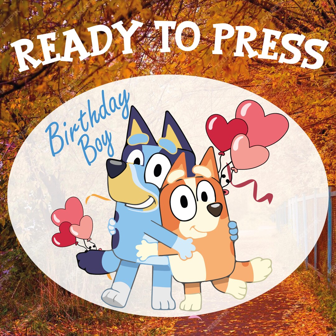 Bluey Birthday DTF Transfer: Ready to Press - Etsy