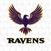 Ravens Team Logo Bundle-svg, Png, Dxf, Jpg, Eps | Versatile Football ...