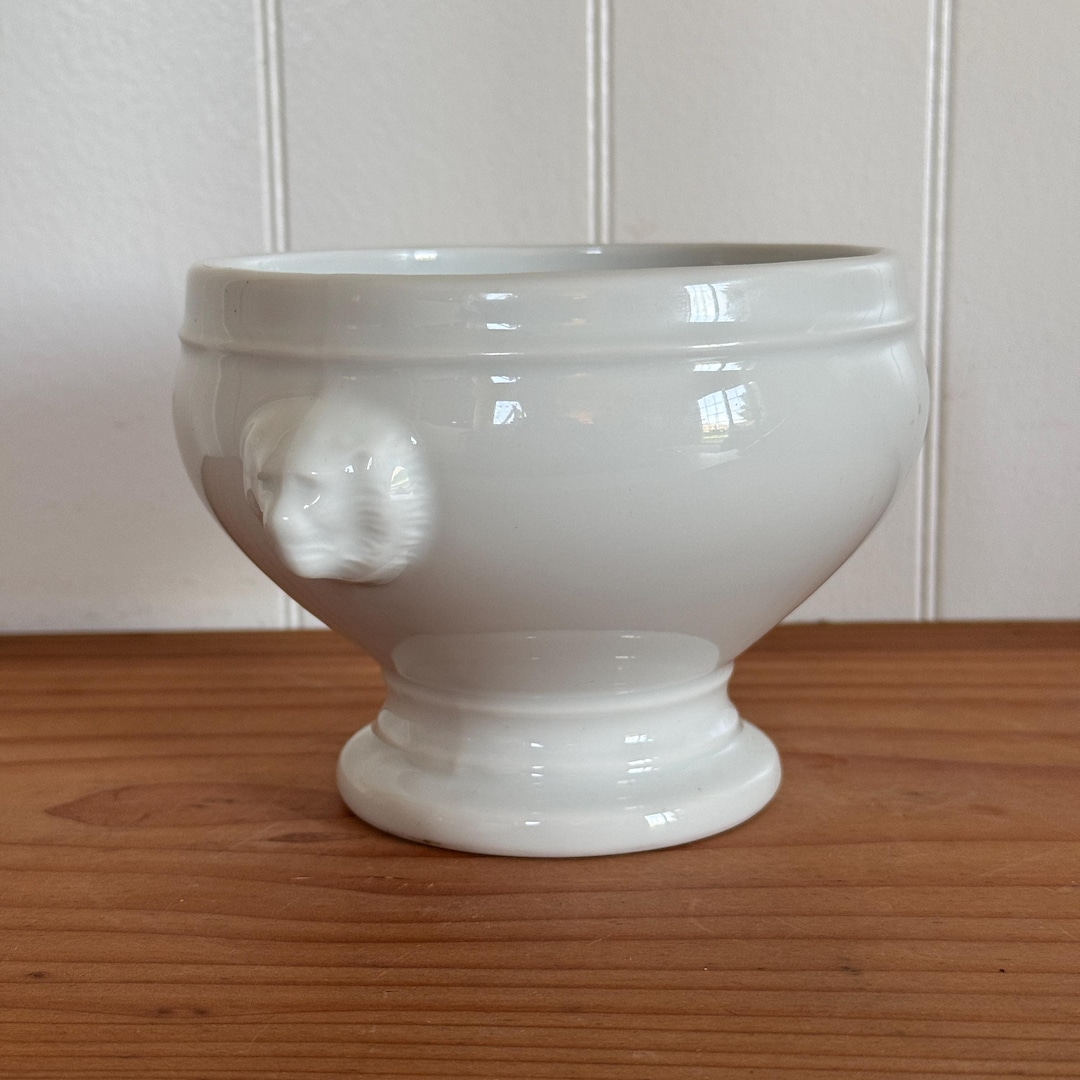 Apilco Porcelain Lion's Head Soup Bowl - Etsy