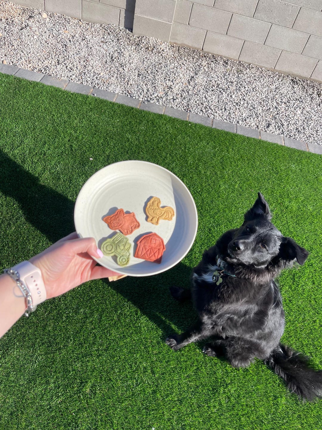 Farm Cookies - Etsy