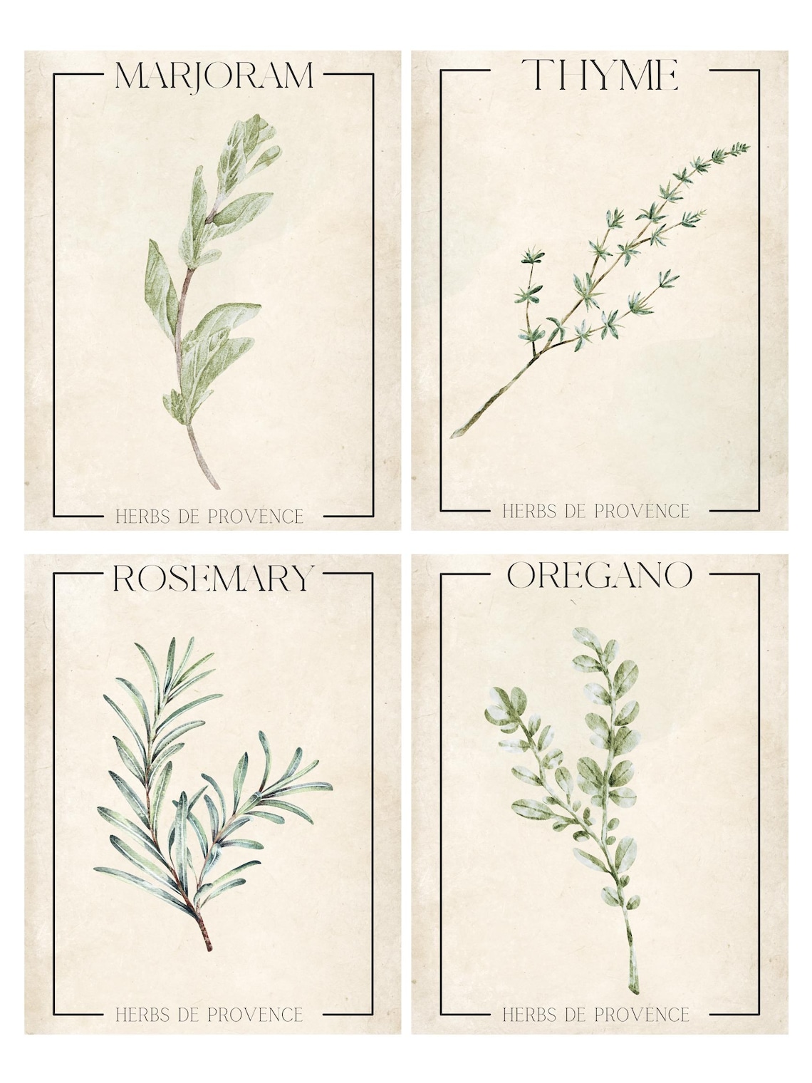 Herbs De Provence Digital Prints – Set of 4 Botanical Herb Wall Art ...