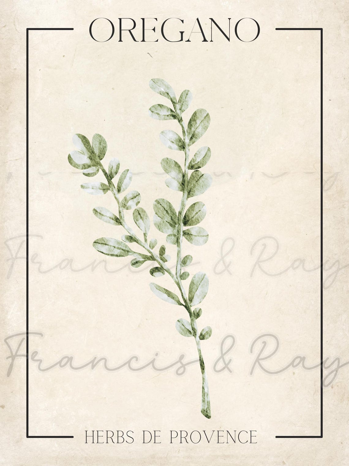 Herbs De Provence Digital Prints – Set of 4 Botanical Herb Wall Art ...