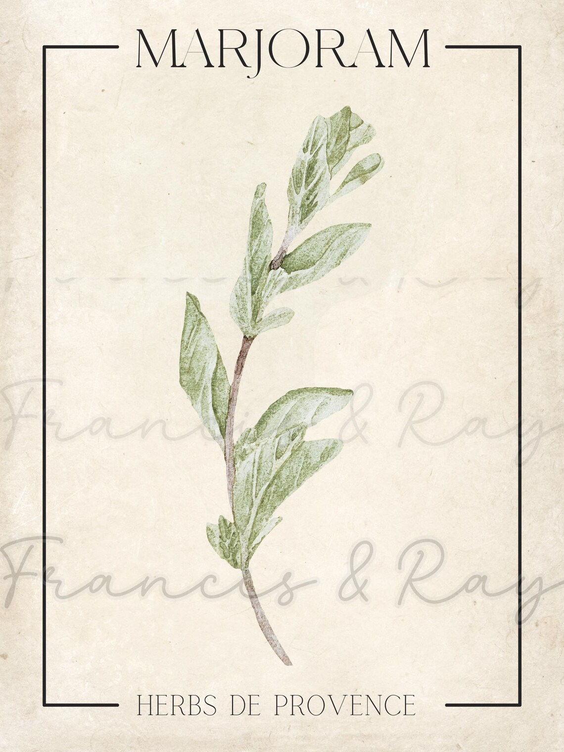 Herbs De Provence Digital Prints – Set of 4 Botanical Herb Wall Art ...