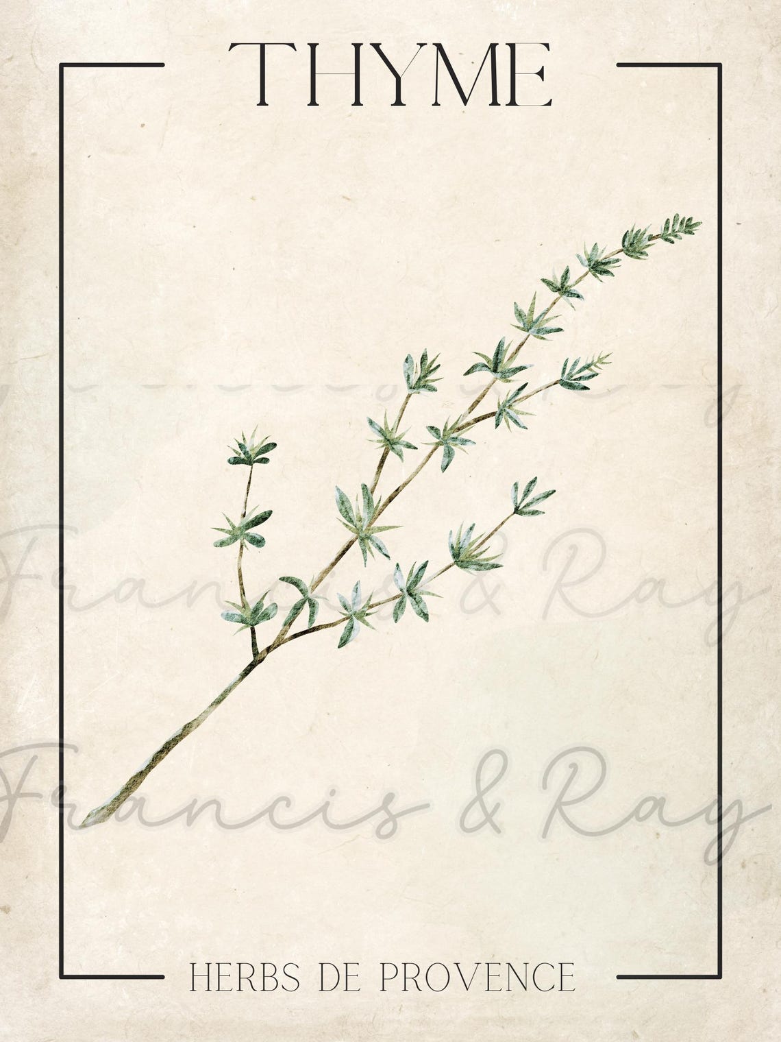 Herbs De Provence Digital Prints – Set of 4 Botanical Herb Wall Art ...