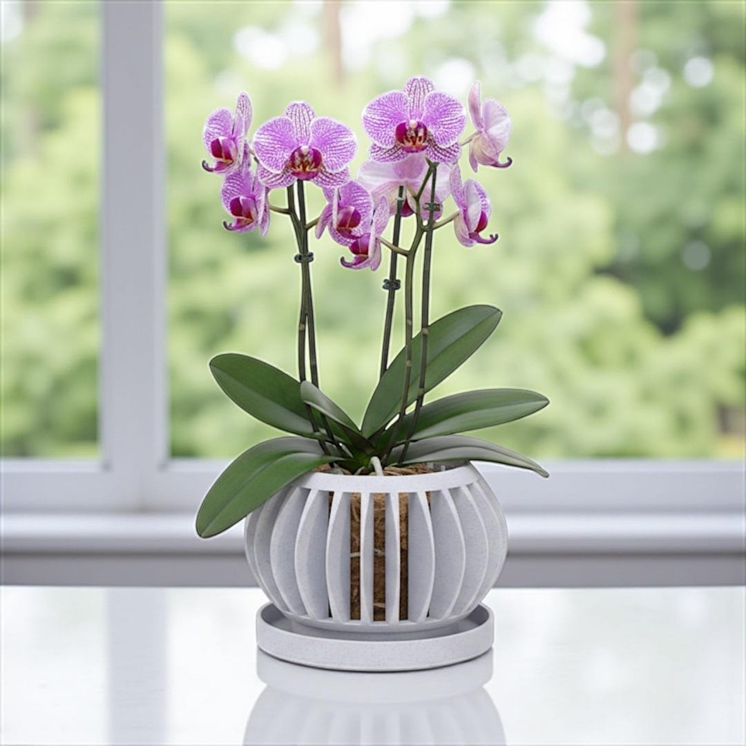 3D Printed Orchid Planter Pot "rene": Modern Geometric Flower Pot With ...