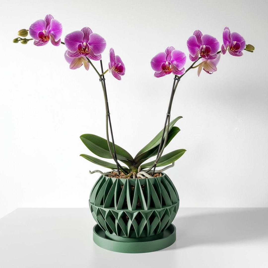 3D Printed Orchid Planter Pot "oku": Modern Geometric Pot With Drainage ...