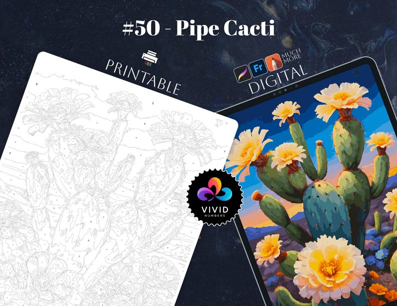 Pipe Cacti Coloring by Number Printable Paint by Numbers Digital ...