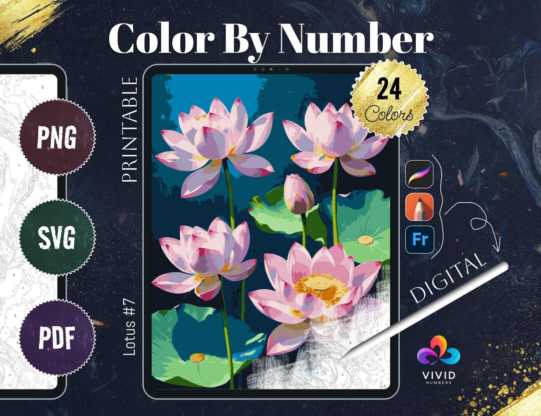 Lotus Color by Numbers for Adults Printable Paint by Numbers Digital ...
