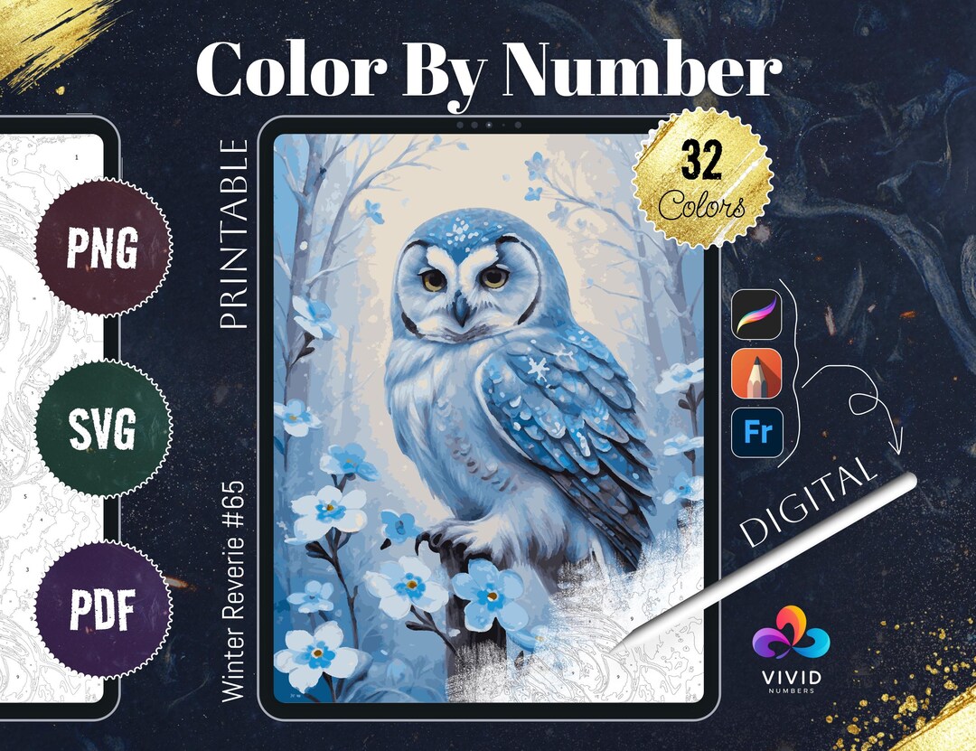 Winter Owl Coloring by Numbers Printable Paint by Numbers Digital ...