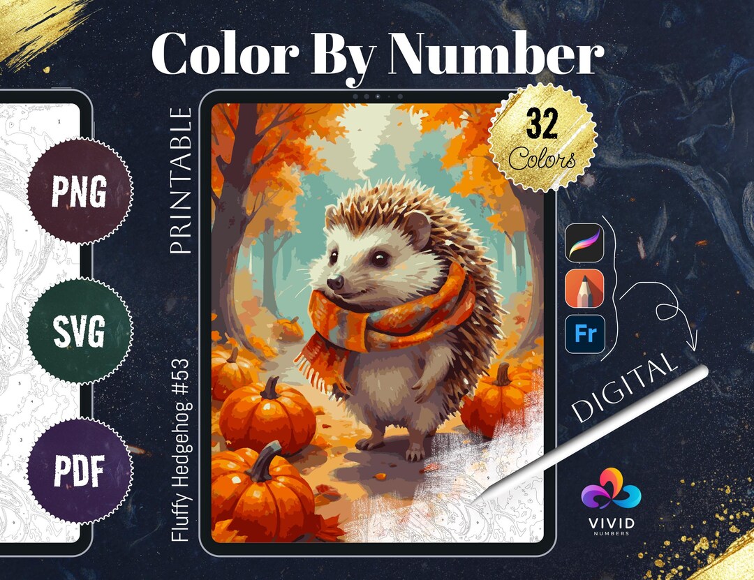 Fluffy Hedgehog Coloring by Numbers Printable Paint by Numbers Digital ...