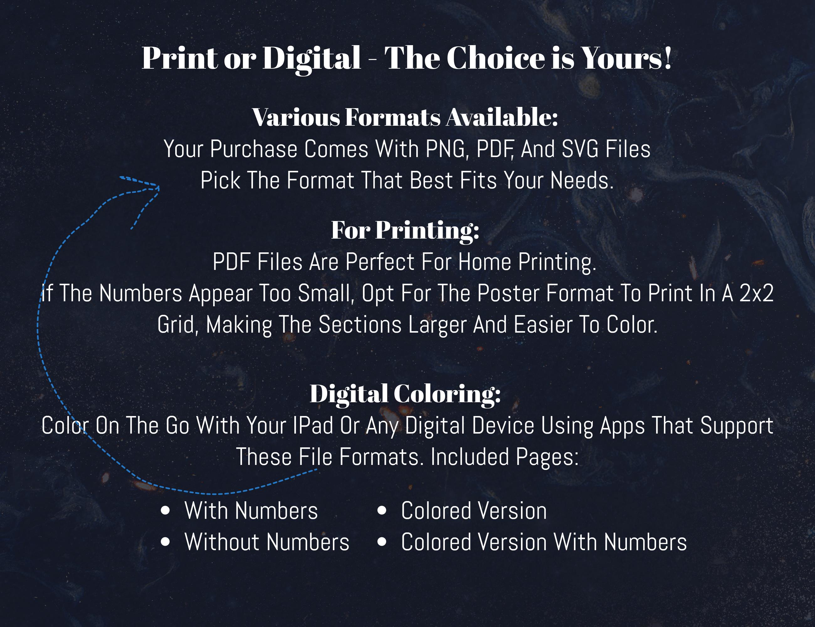 Bird of Paradise Color by Numbers for Adults Printable Paint by Numbers ...