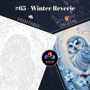 Winter Owl Coloring by Numbers Printable Paint by Numbers Digital ...
