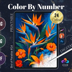 Bird of Paradise Color by Numbers for Adults Printable Paint by Numbers ...