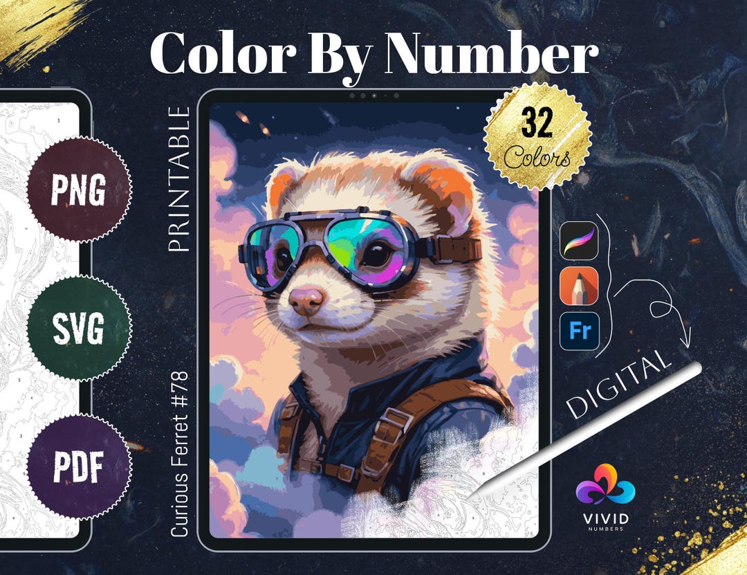 Ferret Coloring by Numbers Paint by Numbers Digital Coloring Pages ...