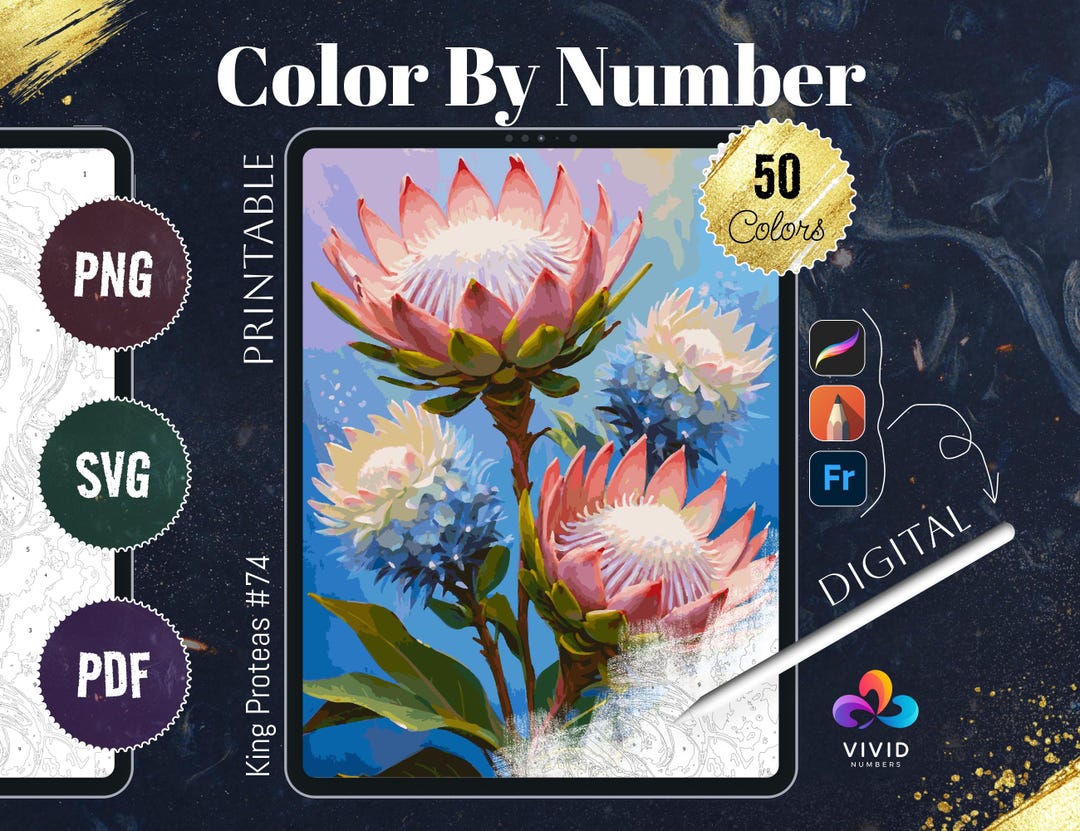 King Protea Paint by Numbers Color by Number Printable Digital Coloring ...