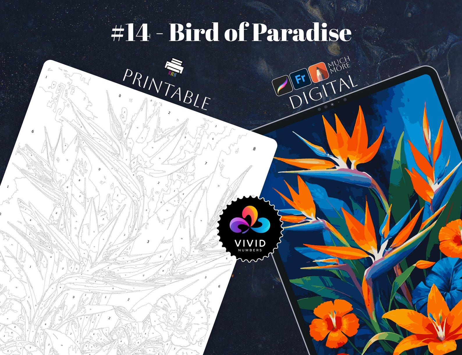 Bird of Paradise Color by Numbers for Adults Printable Paint by Numbers ...