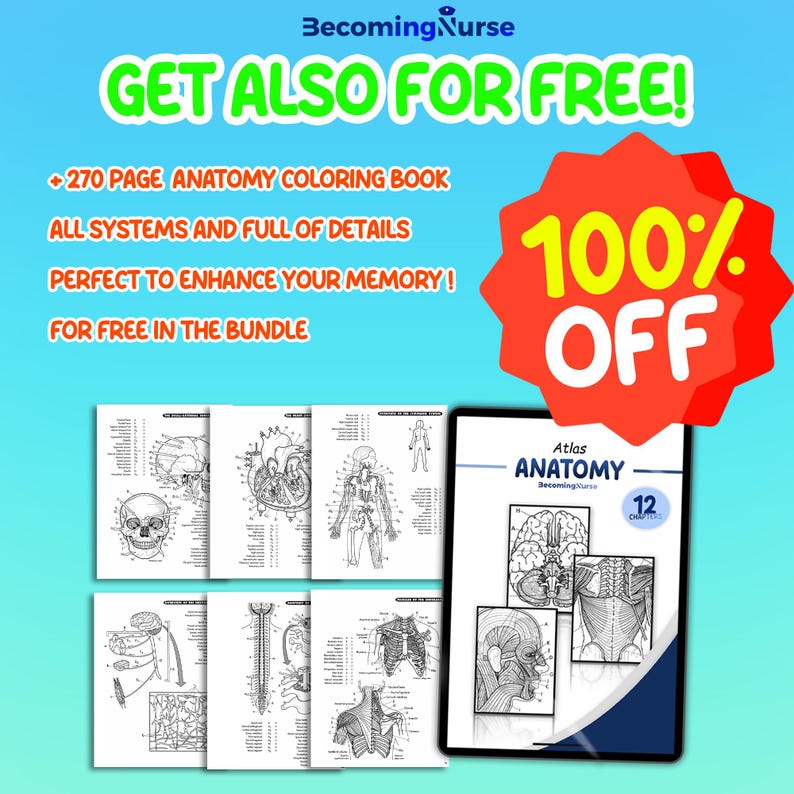 Ultimate Anatomy Learning Bundle – Digital Anatomy Course, Flashcards ...